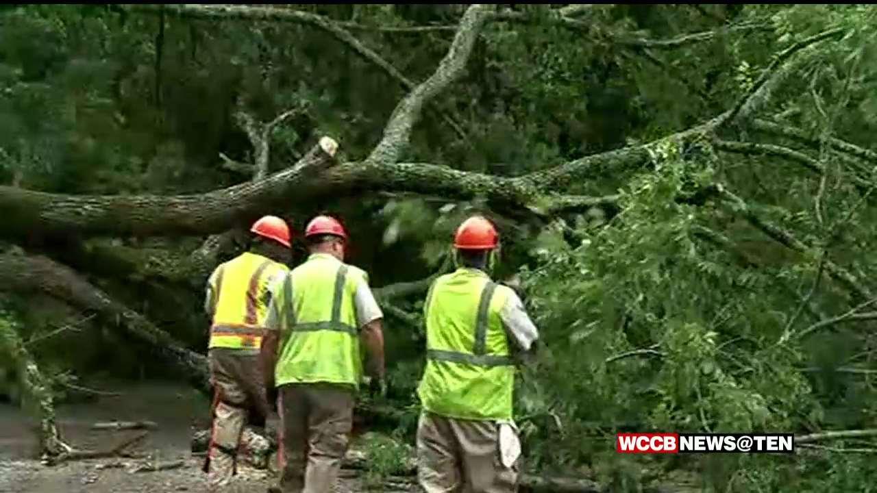 Tree Traps South Park Neighborhood - WCCB Charlotte's CW