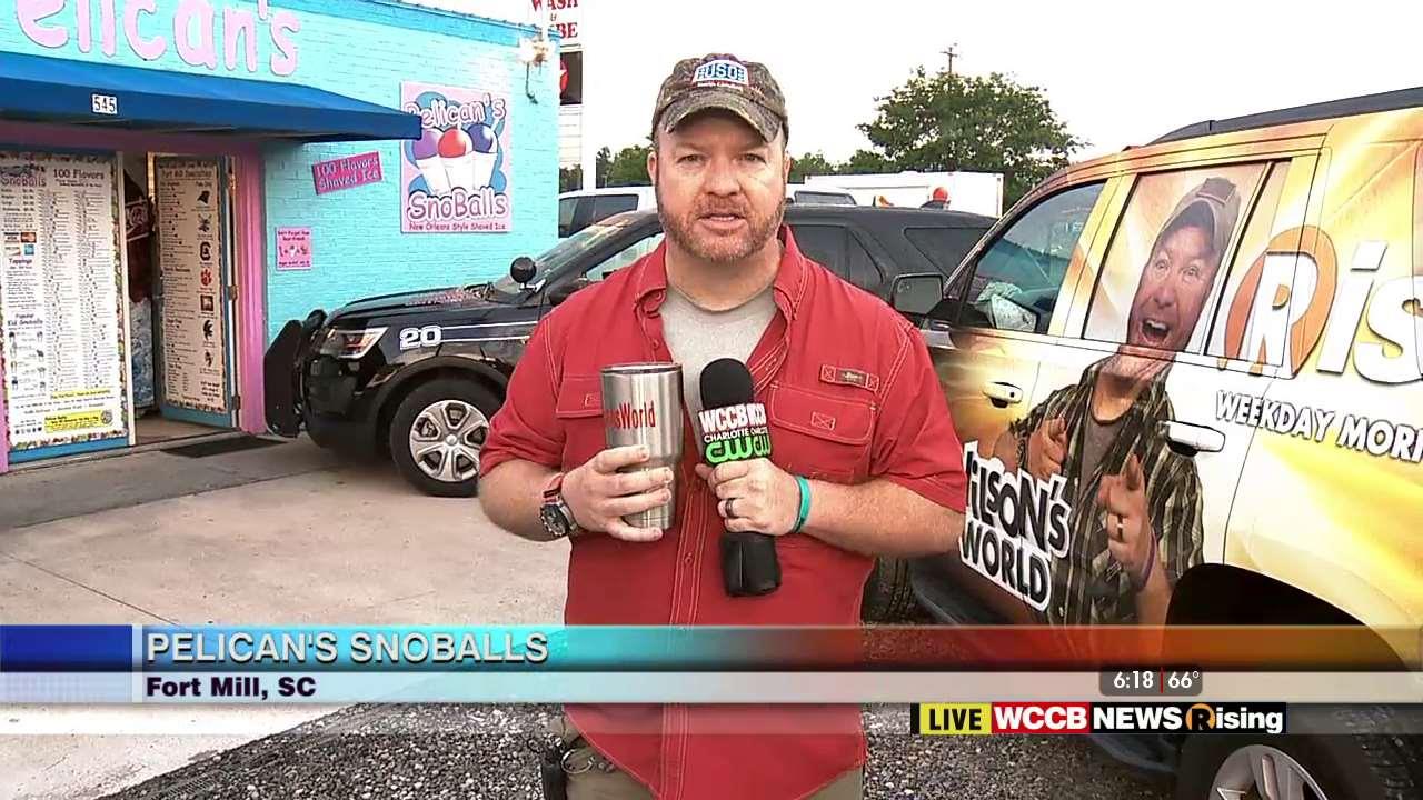 Wilson's World: Pelican's SnoBalls To Host Benefit For Camp Cadet ...