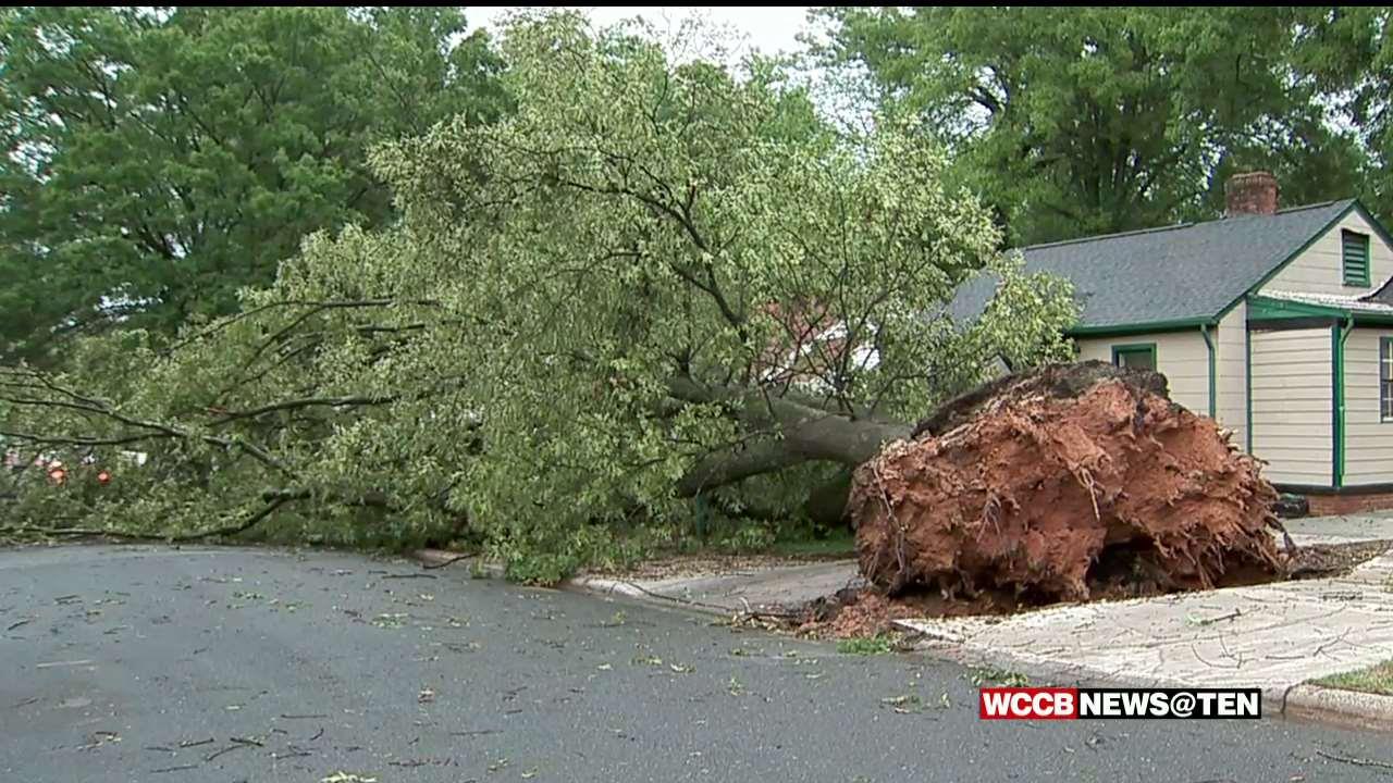 Thousands Without Power After CLT Storms Knock Down Trees - WCCB ... Thousands Without Power After CLT Storms Knock Down Trees - WCCB ...