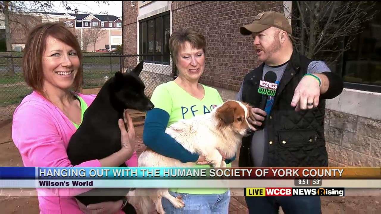 Wilson's World: Getting all Soft and Cuddly with the Residents at the ...