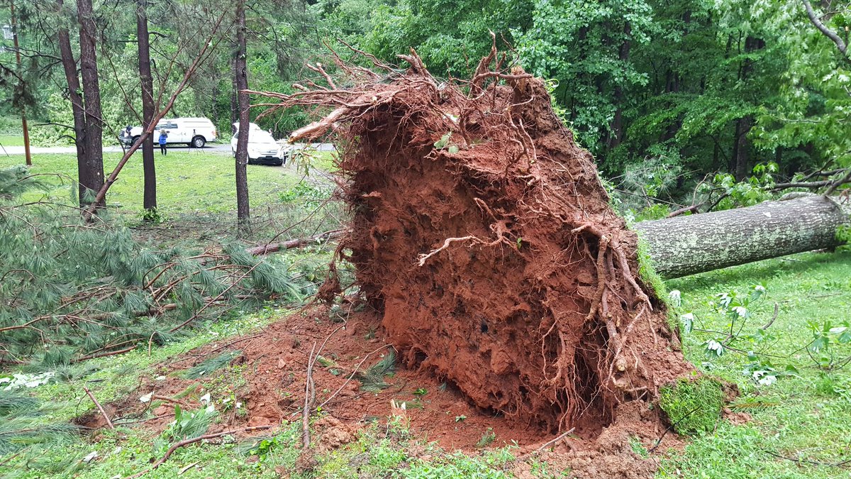 Courtesy Marvin Beach 5 - WCCB Charlotte