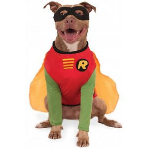 Robbin Dog Costume - WCCB Charlotte's CW