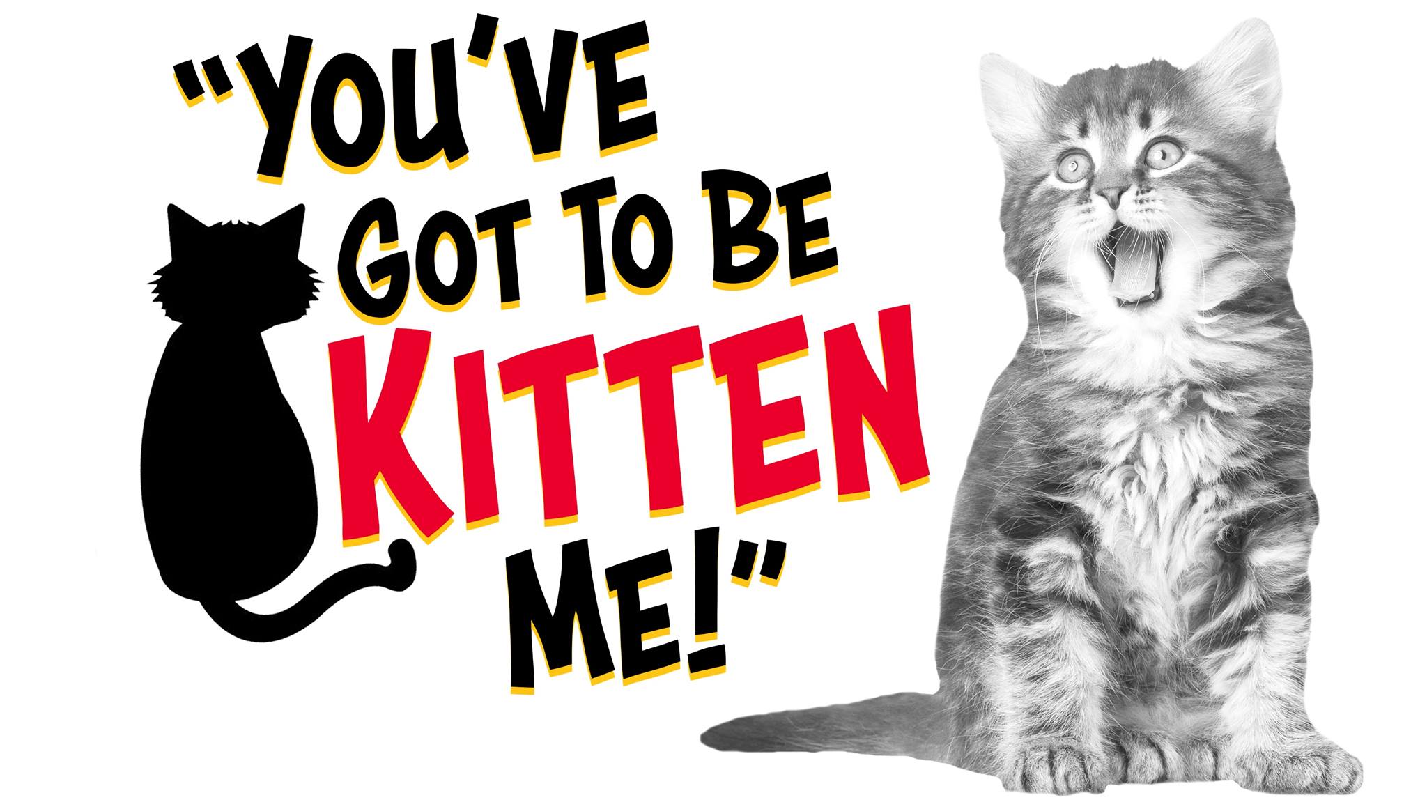 “You’ve GOT to be KITTEN Me!” Baby Shower! - WCCB Charlotte