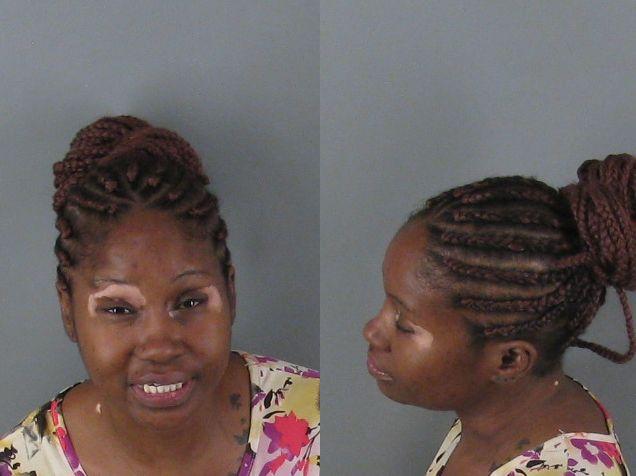 Anitra Robinson Resist Public Officer Disorderly Conduct - WCCB ...