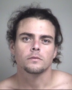 Mickey Story Larceny After Breaking And Or Entering Flee Arrest ...