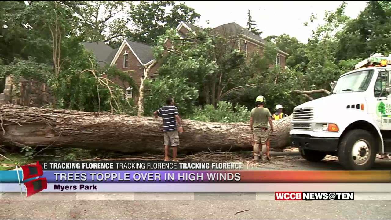 Trees Topple in Florence's High Winds - WCCB Charlotte