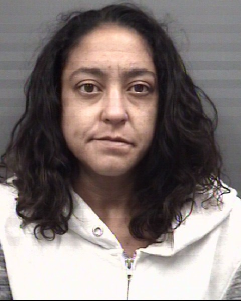 Amber Hall Driving While Impaired Fictitious Info To Officer Failure To ...