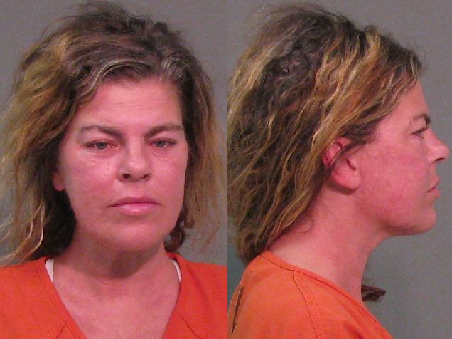 Anna Reed DUI Child Endangerment - WCCB Charlotte