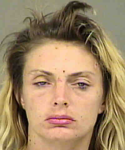 Emily Wall Resisting Public Officer Second Degree Trespass - WCCB Charlotte