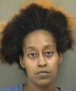 Solena Roberts Att Obtain Prop False Pretense Forgery Of Instrument ...