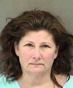 Trudy Wilson Embezzlement Obtain Property False Pretense Poss Stolen ...