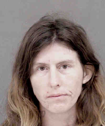 Stephanie Bostic Breaking Or Entering Injury To Personal Property ...