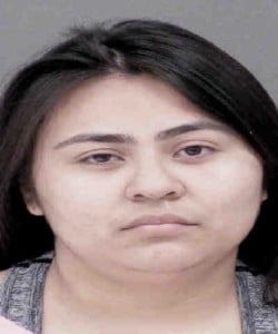 Stephanie Velasquez Simple Assault - WCCB Charlotte