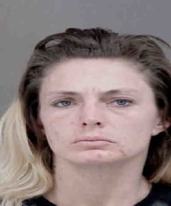 Emily Wall Possess Drug Paraphernalia Second Degree Trespass - WCCB ...