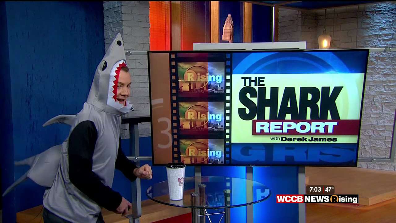 The Snark: It's the Real Reason Behind "The Snark Report"...and a Few ...