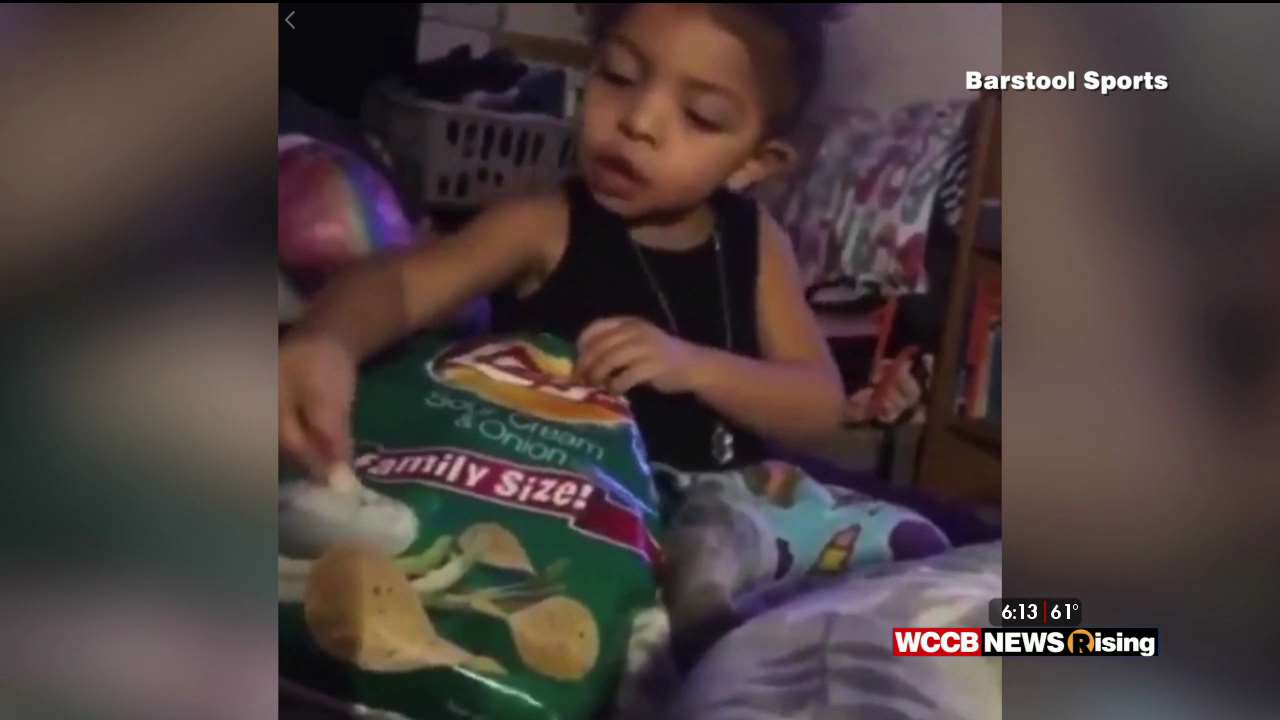 Viral Videos: A Deer and Lion Take a Dip and a Cutie Never Double Dips ...