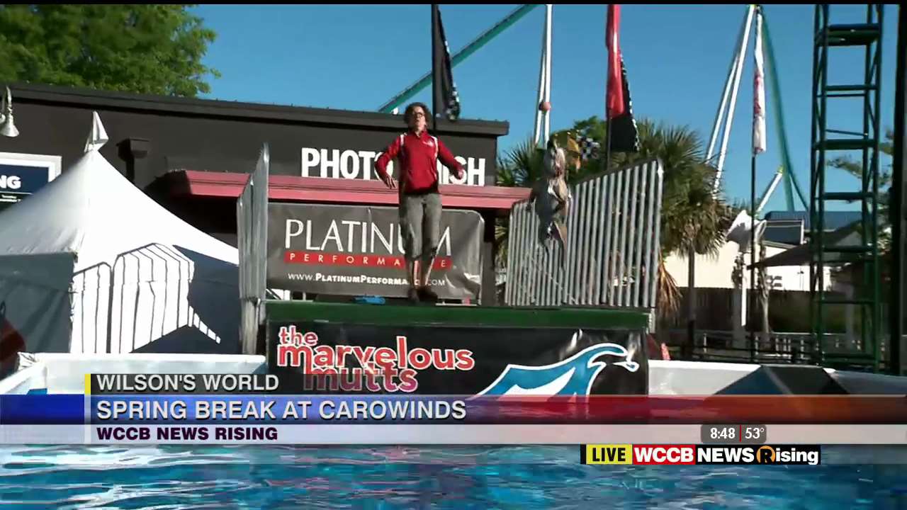 Wilson's World: Enjoying Spring Break 2019 with The Marvelous Mutts at ...