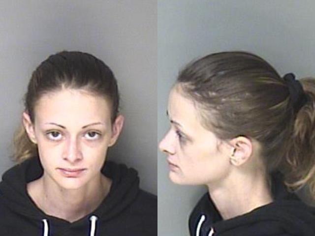 Anna Holder Possess Heroin Possess Drug Paraphernalia Financial Card ...