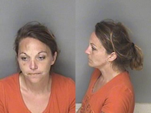 Lydia Self Resisting Officer Failure To Appear Probation Violation ...
