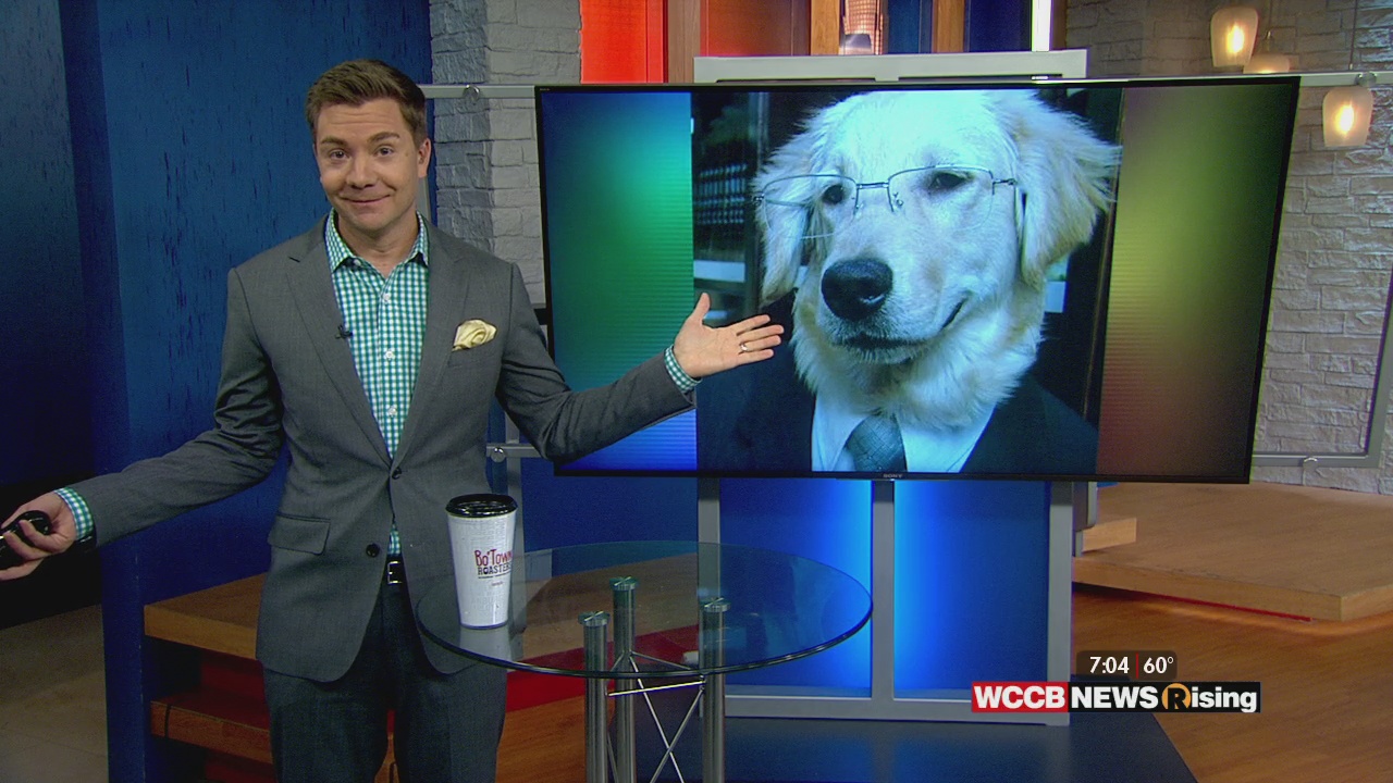 The Snark: Catching Up with Angela & Caesar, Joker Cleans Up, Twin News ...