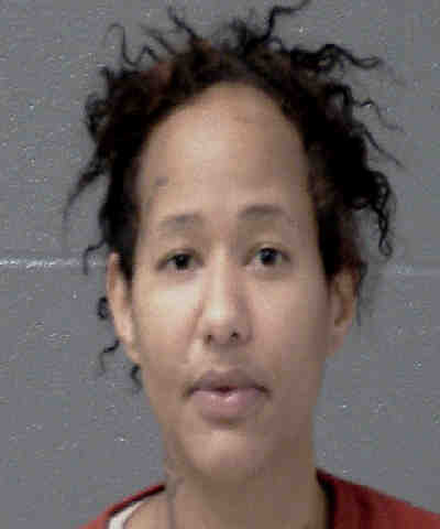 Ashley Pearl Carrying Concealed Gun Discharge Firearm In City ...