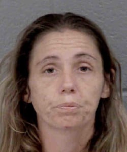 Shannon Goodman Larceny Obtain Property By False Pretense Uttering ...