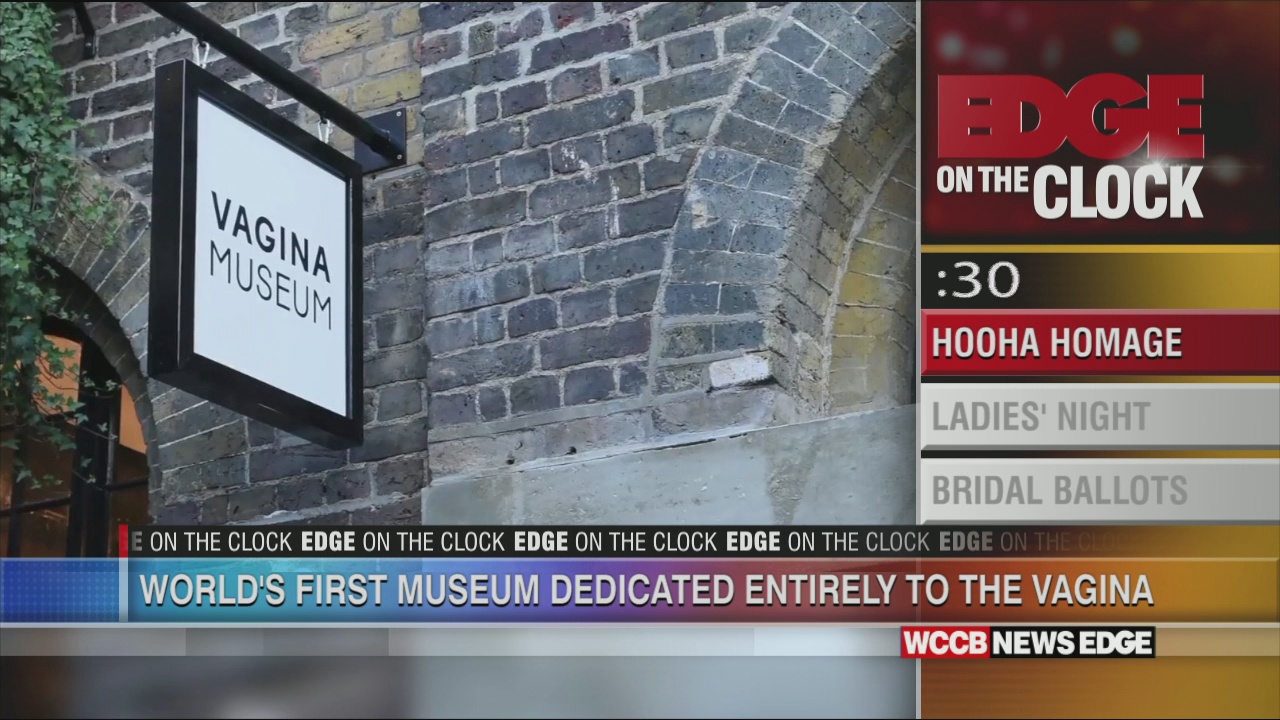 New Museum Hopes to Change Stigma Surrounding the Female Reproductive ...