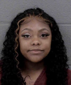Daneisha Williams Felony Larceny Driving While License Revoked - WCCB ...