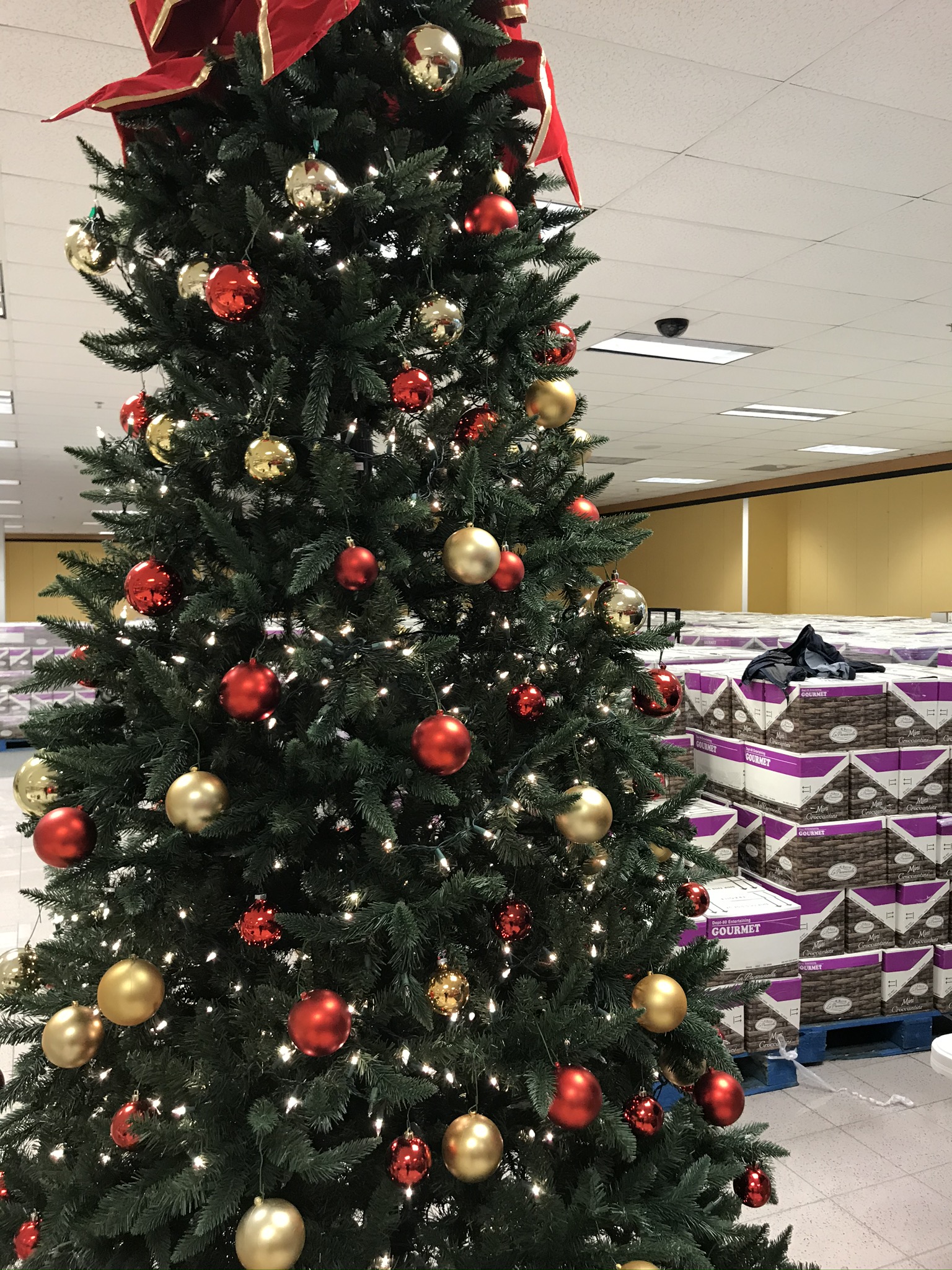 IMG 8984 - WCCB Charlotte's CW