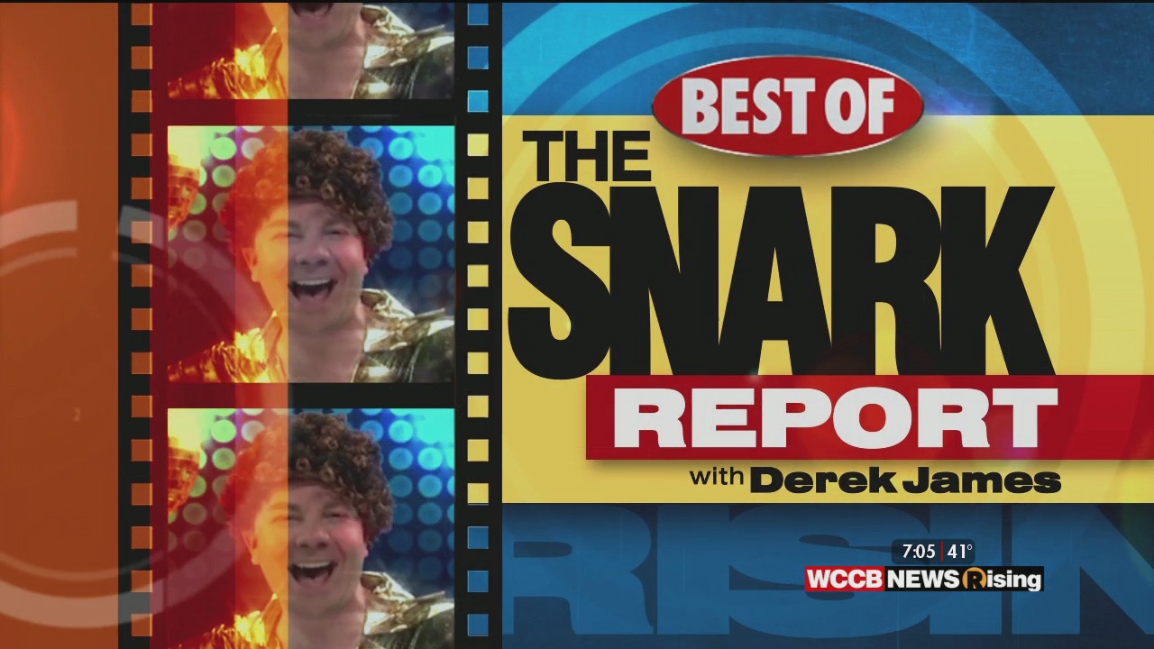 Best of Snark: A Birds & the Bees Lesson, Sad Memories, Bird Love ...