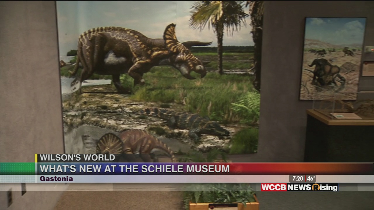 Wilson's World: Finding Out What's New at the Schiele Museum of Natural ...
