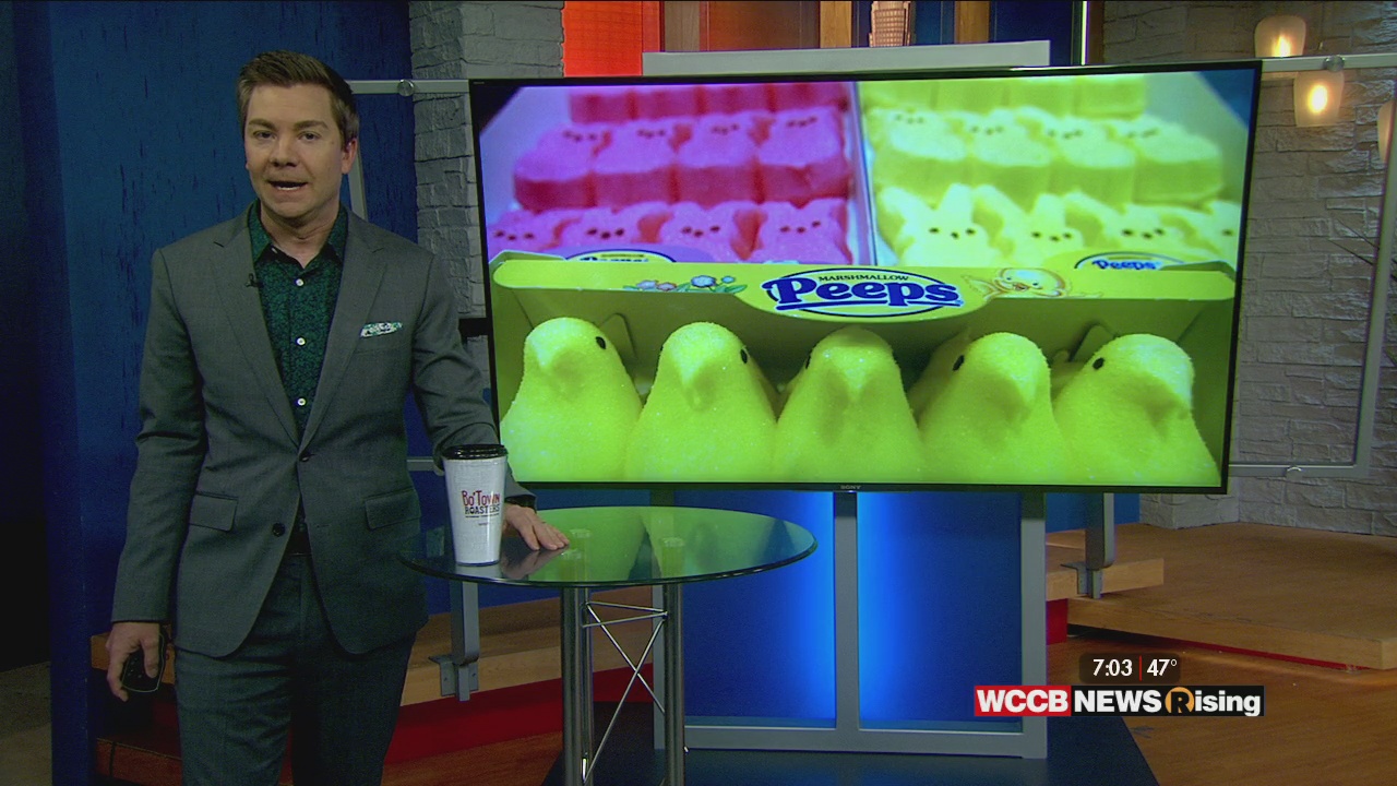 The Snark: First Sight Gross Math, Dropping the Anchor on the Yacht ...