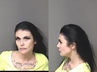 Andrea Hicks Breaking And Entering Conspiring To Commit Felony Larceny ...