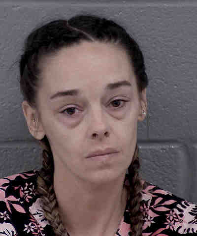 Angie Sanders Resisting Officer Robbery With Dangerous Weapon - WCCB ...