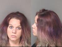 Sandra Sanders Resisting Officer - WCCB Charlotte