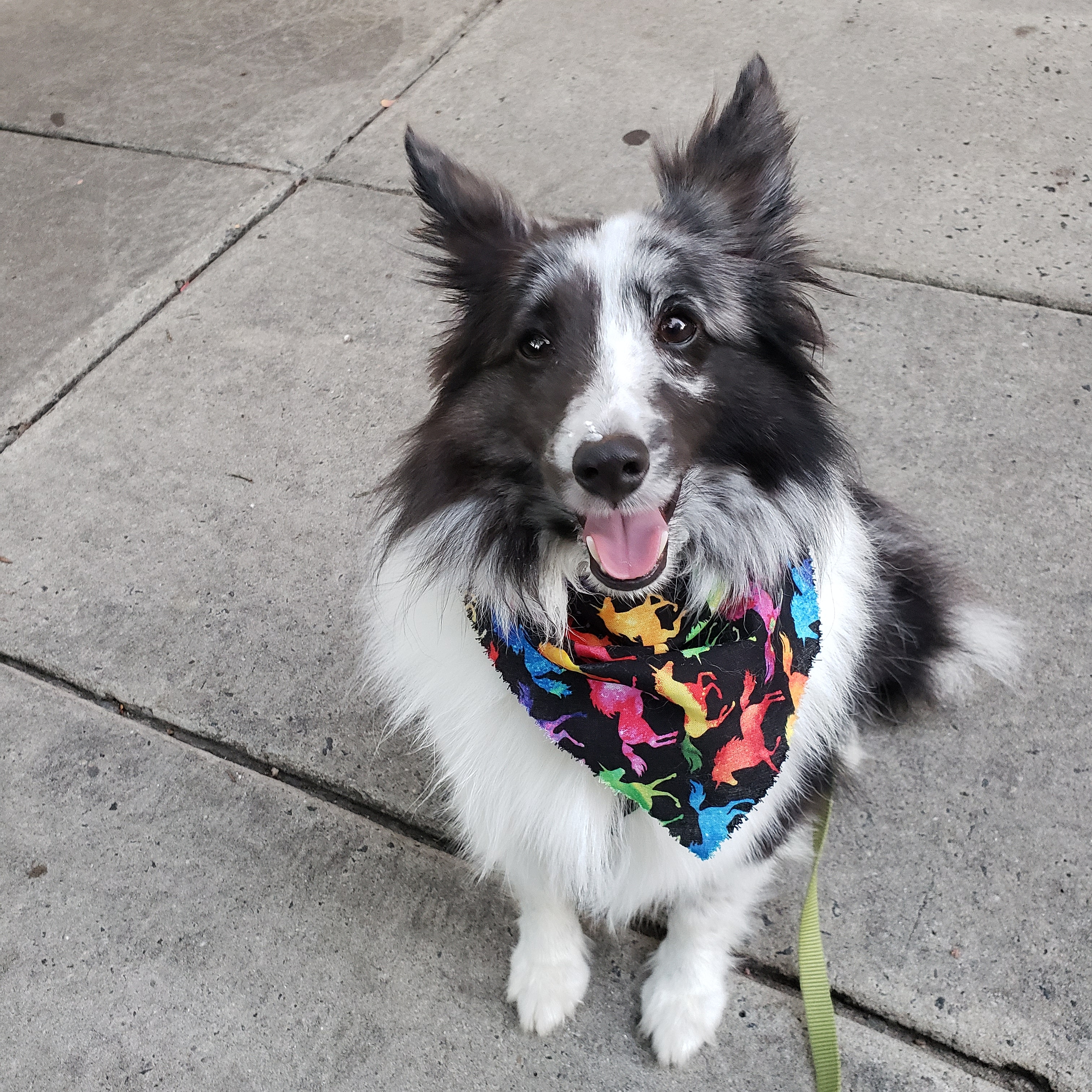 Colby - WCCB Charlotte