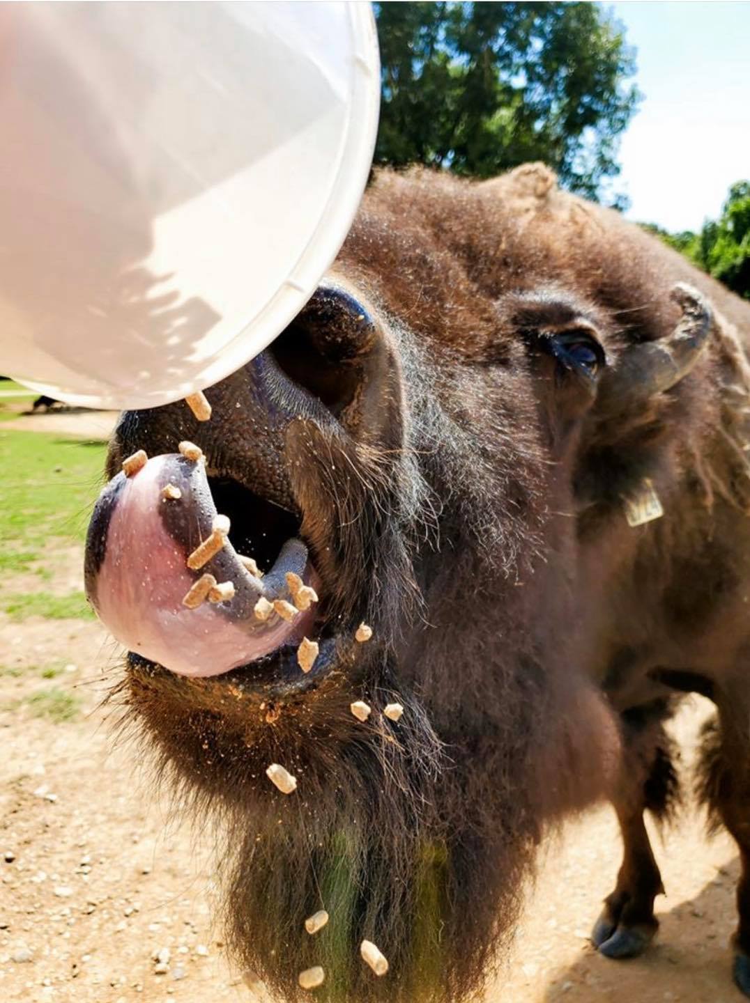 Lazy Ranch - WCCB Charlotte's CW