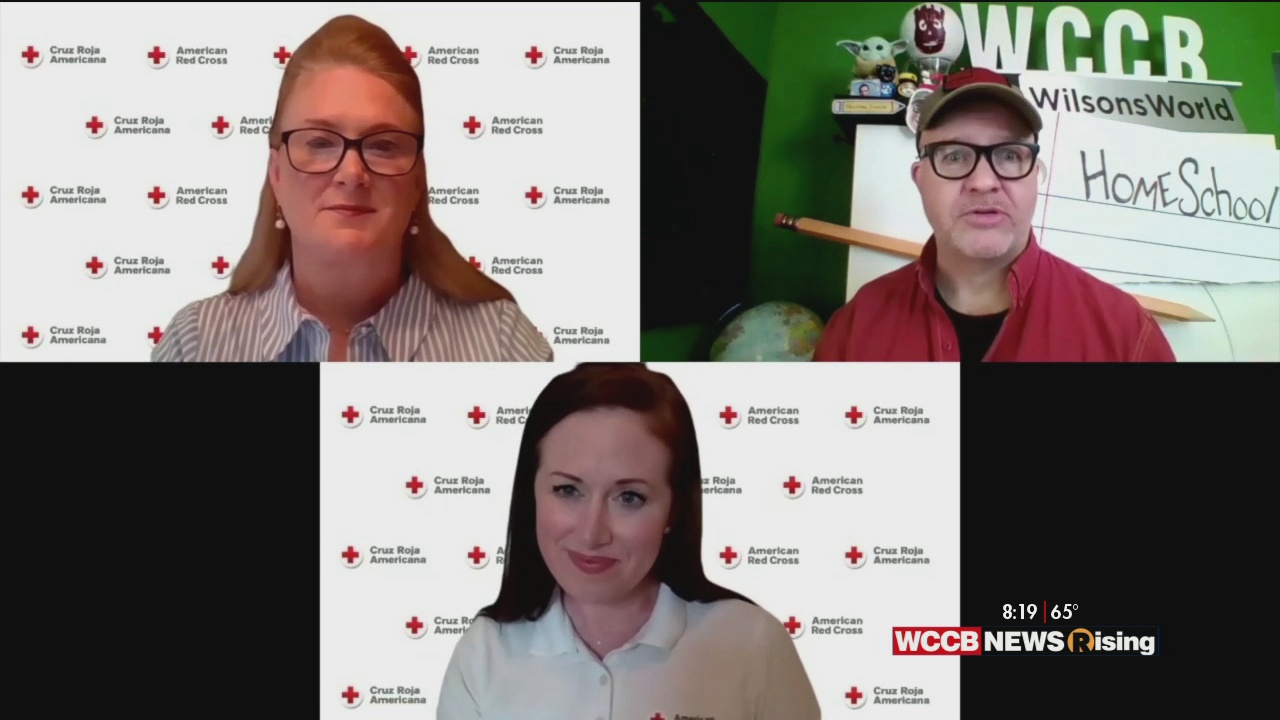Wilson's World: Getting an Update on the Need for Donations at the ...