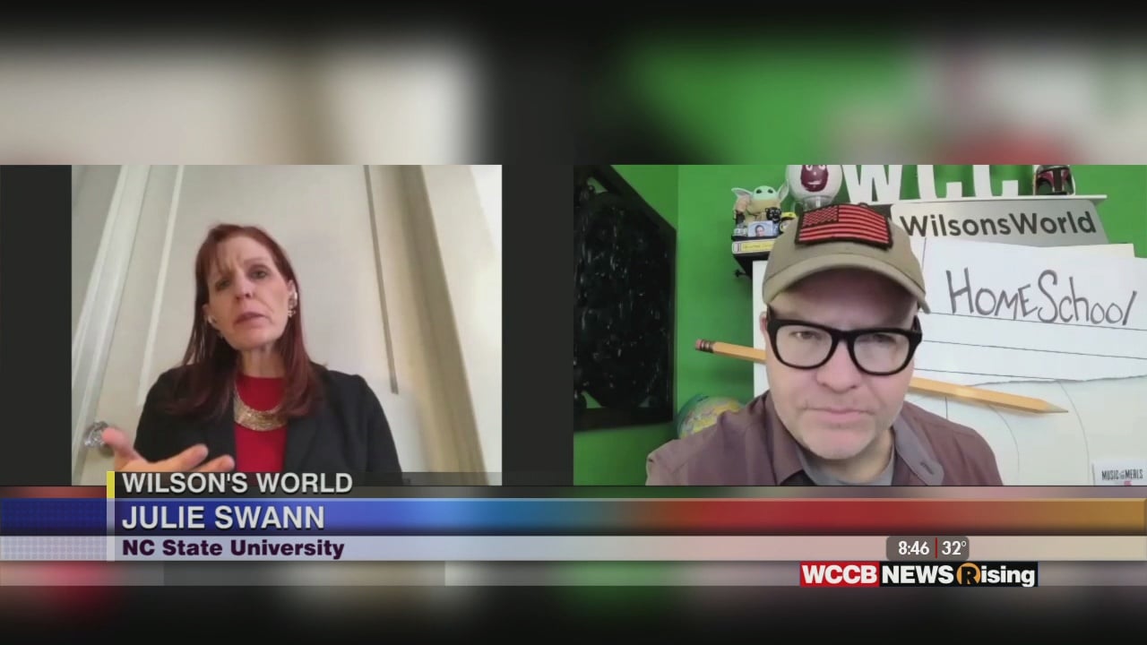 Wilson's World: Dr. Julie Swann with NC State University Talks ...