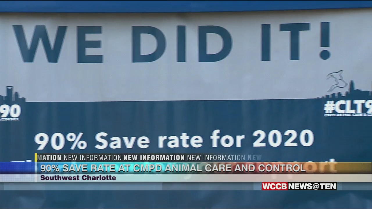 CMPD Animal Care And Control Reaches 90% Save Rate Goal For 2020 - WCCB ...
