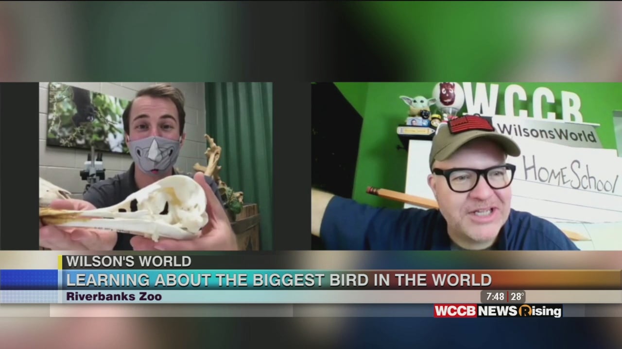 Wilson's World HomeSchool: At the Riverbanks Zoo Learning About the ...