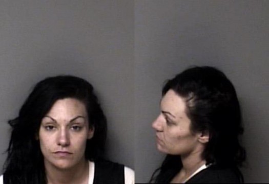 Candice Shuler – Trespassing – Possession Of Heroin – Possession Of ...