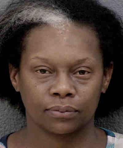 Erica Parker – Assault With A Deadly Weapon – DWI – Open Container ...