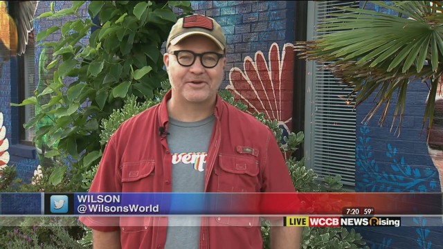 Wilson's World: Time Out Youth Charlotte's 30th Anniversary - WCCB ...