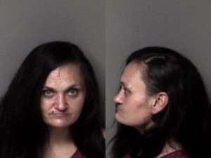 Jessica Bridges – Possession Of Meth – Possession Of Drug Paraphernalia ...
