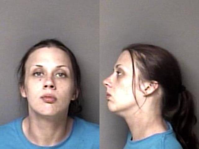 Miranda McDaniel – Possession Of Meth – Carrying A Concealed Firearm ...