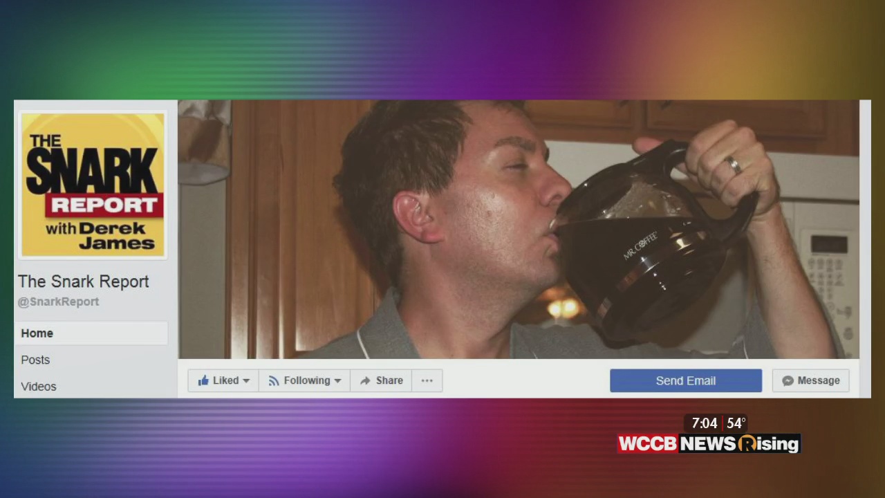 The Snark: Mean MIL, A Bratty Boy, Canned Spinach & Florida Man - WCCB ...