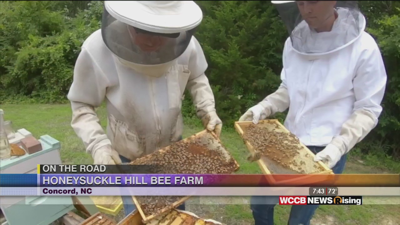 On the Road with James: Honeysuckle Hill Bee Farm - WCCB Charlotte's CW