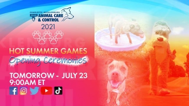 CMPD Animal Care & Control Hosts "Pawlympics" For Adoptable Dogs - WCCB ...