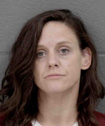 Sara Hefferon – DWI – Misdemeanor Child Abuse – Possess Drug ...